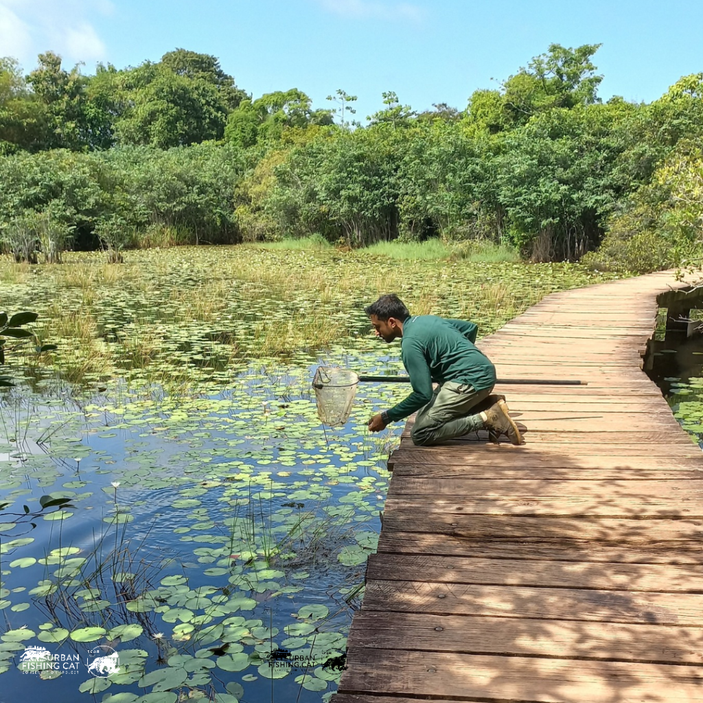 Tara Dias: My experience at the Young Wildlife Biologist Starter course ...